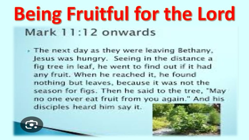 Being Fruitful for the Lord - Pune CFC